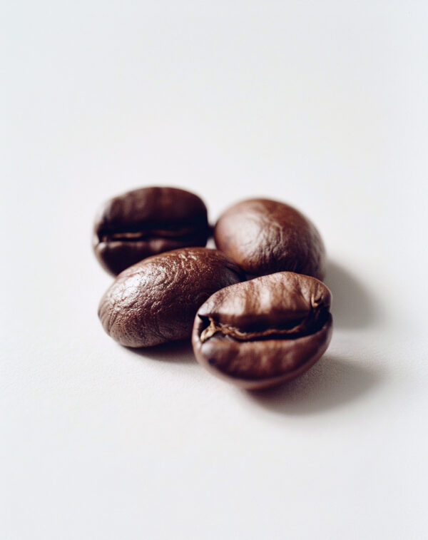 Find Your Signature Scent | Premium Aroma Oil & Diffusers